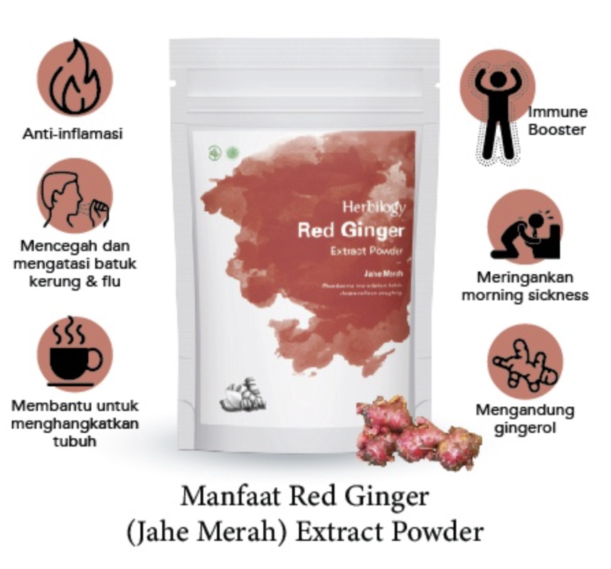 Herbilogy Red Ginger Powder 100gr – BALI SHOP UK